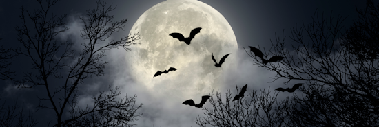 Scary Trends in Insurance/Articles/CLM Magazine